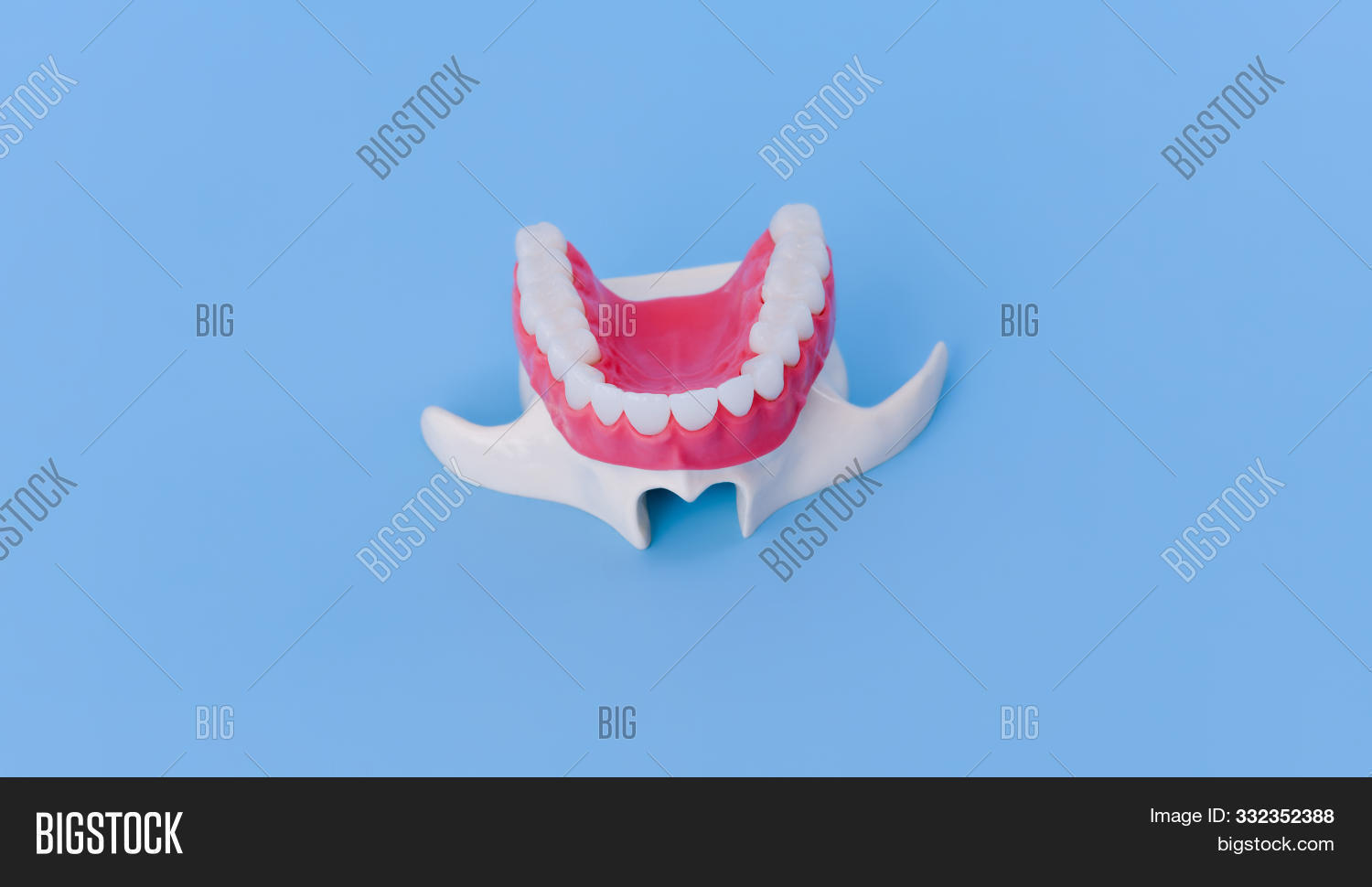 Upper Human Jaw Teeth Image & Photo (Free Trial) | Bigstock