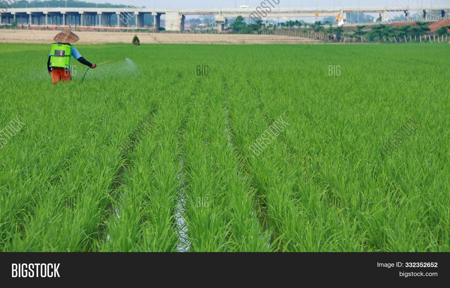 Farmers When Spraying Image & Photo (Free Trial) | Bigstock