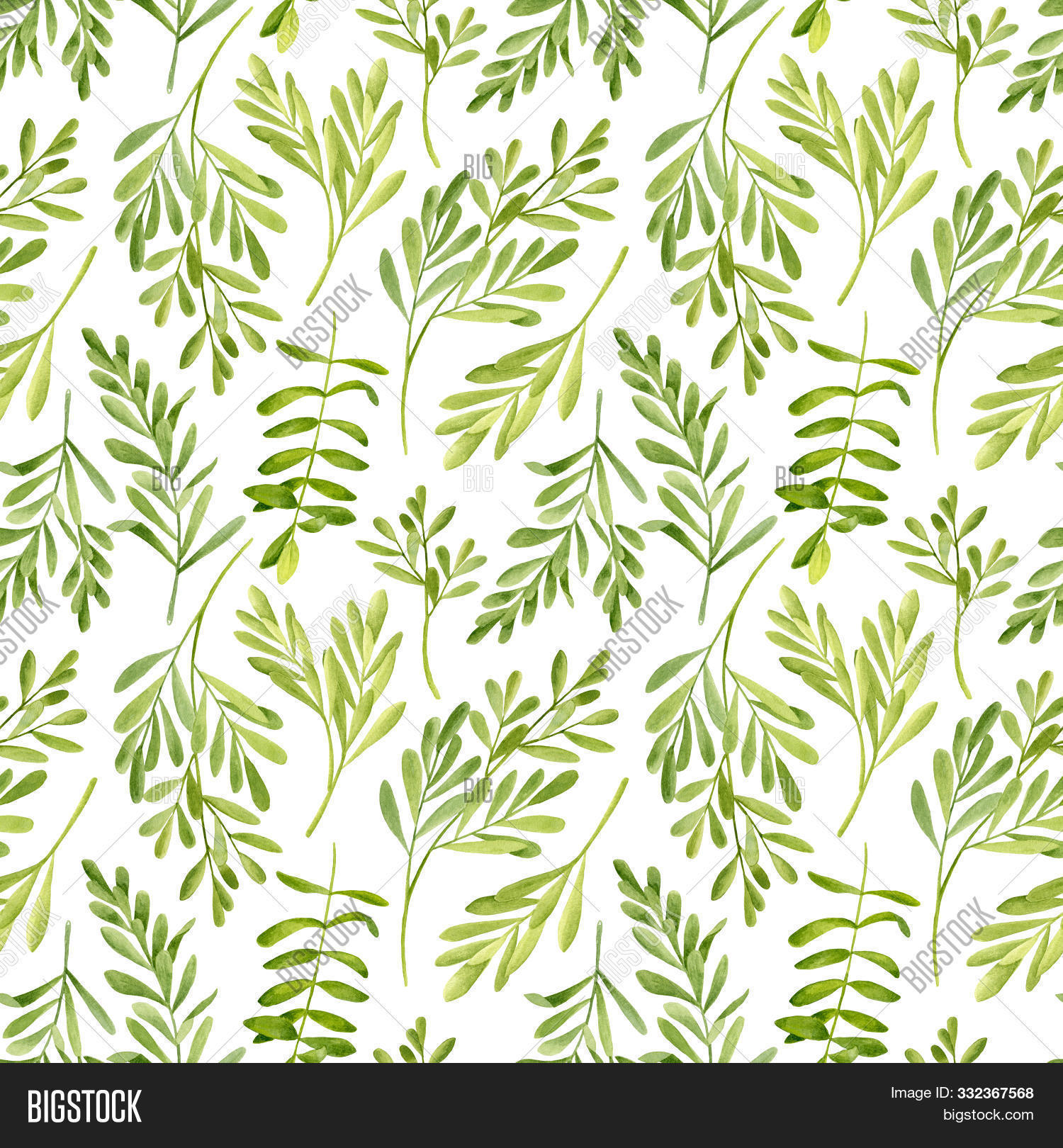 Watercolor Tea Tree Image & Photo (Free Trial) | Bigstock