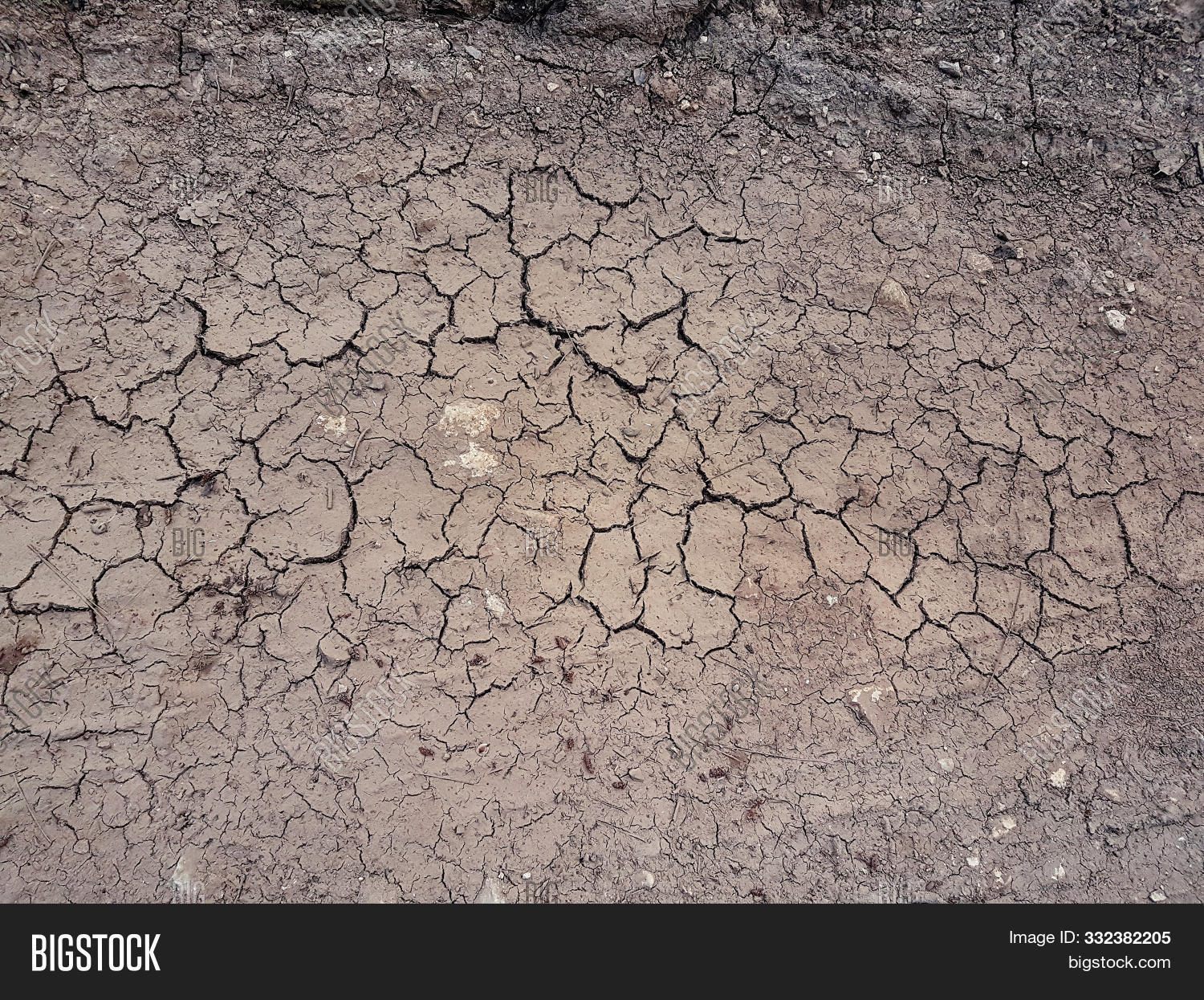 Cracked Ground, Path, Image & Photo (Free Trial) | Bigstock