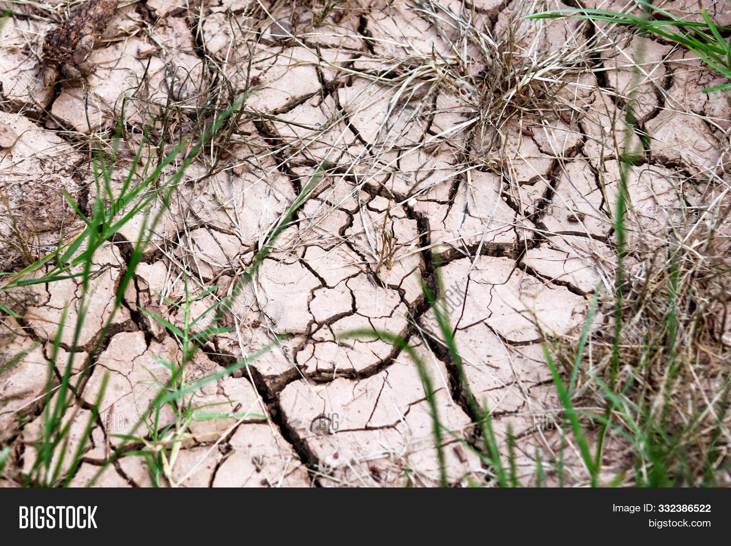 Cracked Ground, Path, Image & Photo (Free Trial) | Bigstock