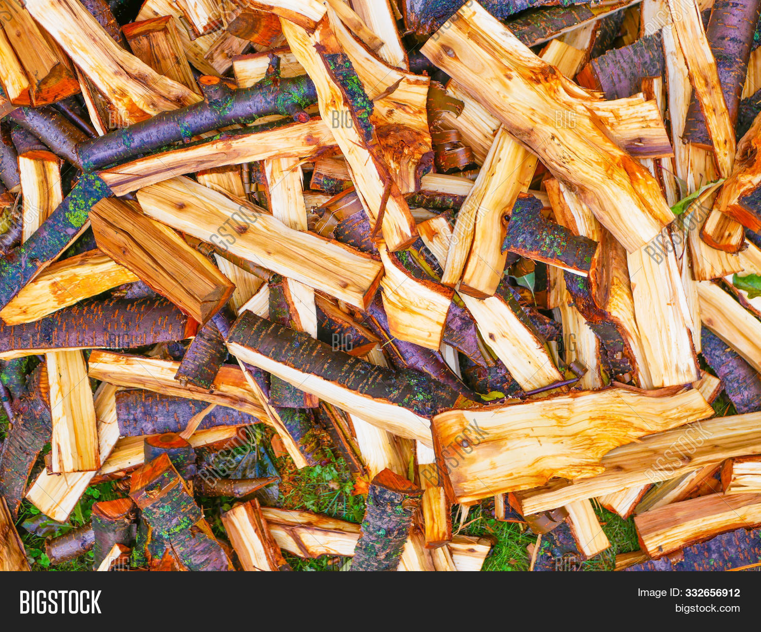 Freshly Cut Tree Logs Image & Photo (Free Trial) | Bigstock