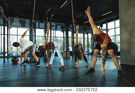 Group Muscular Image & Photo (Free Trial) | Bigstock