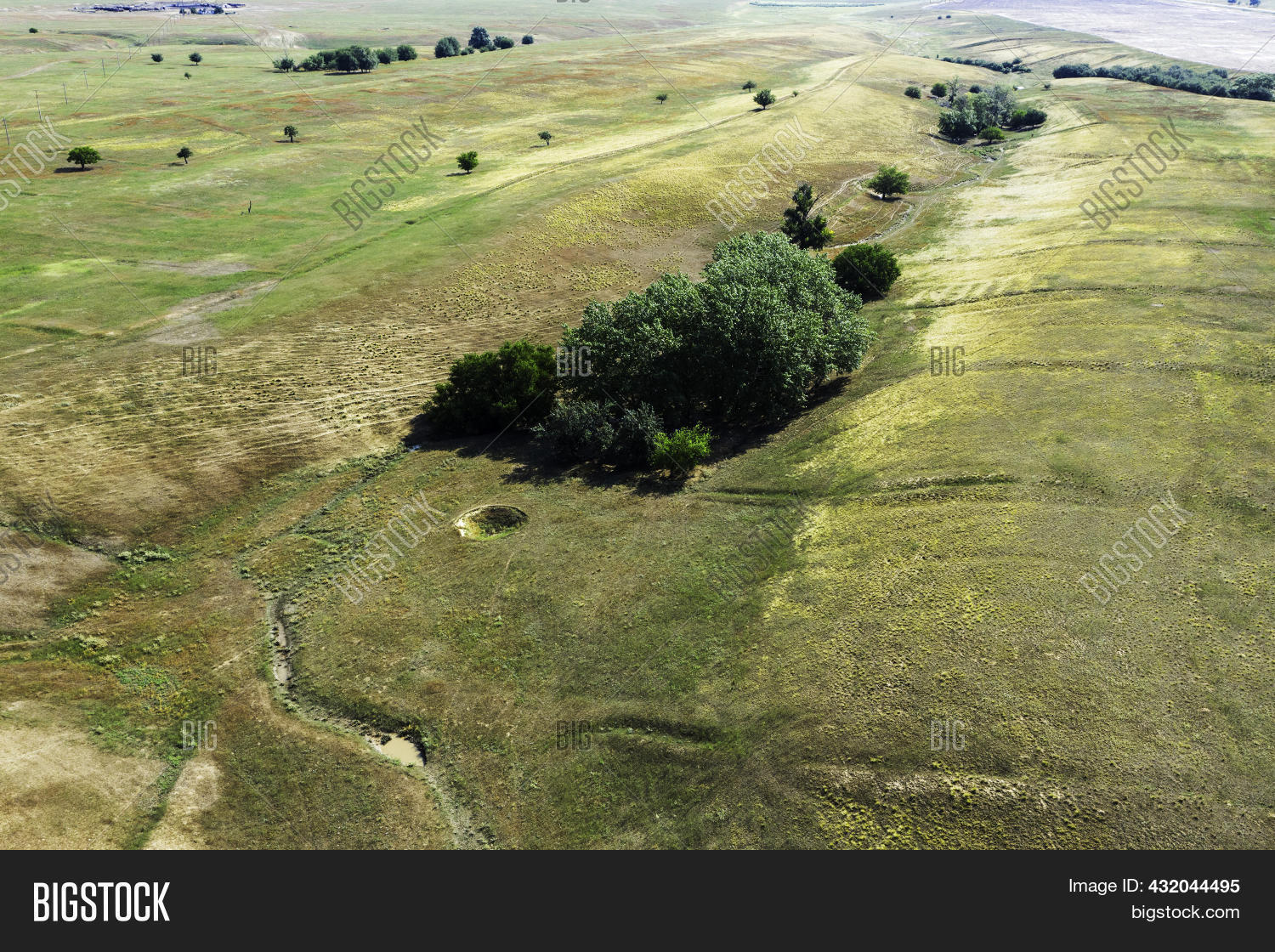 Steppe Landscape Trees Image & Photo (Free Trial) | Bigstock