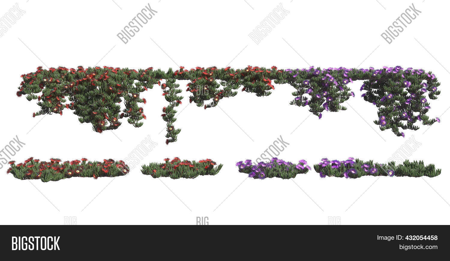 Climbing Plants Image & Photo (Free Trial) | Bigstock