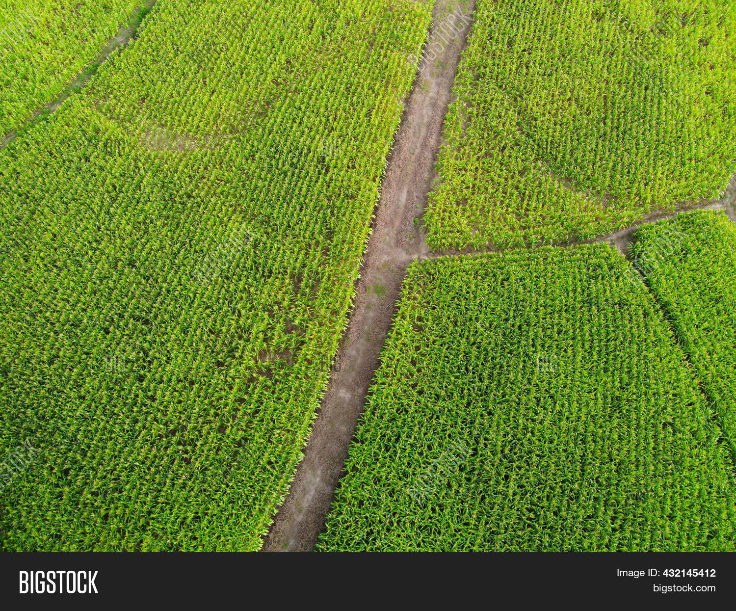 Aerial View Field Image & Photo (Free Trial) | Bigstock