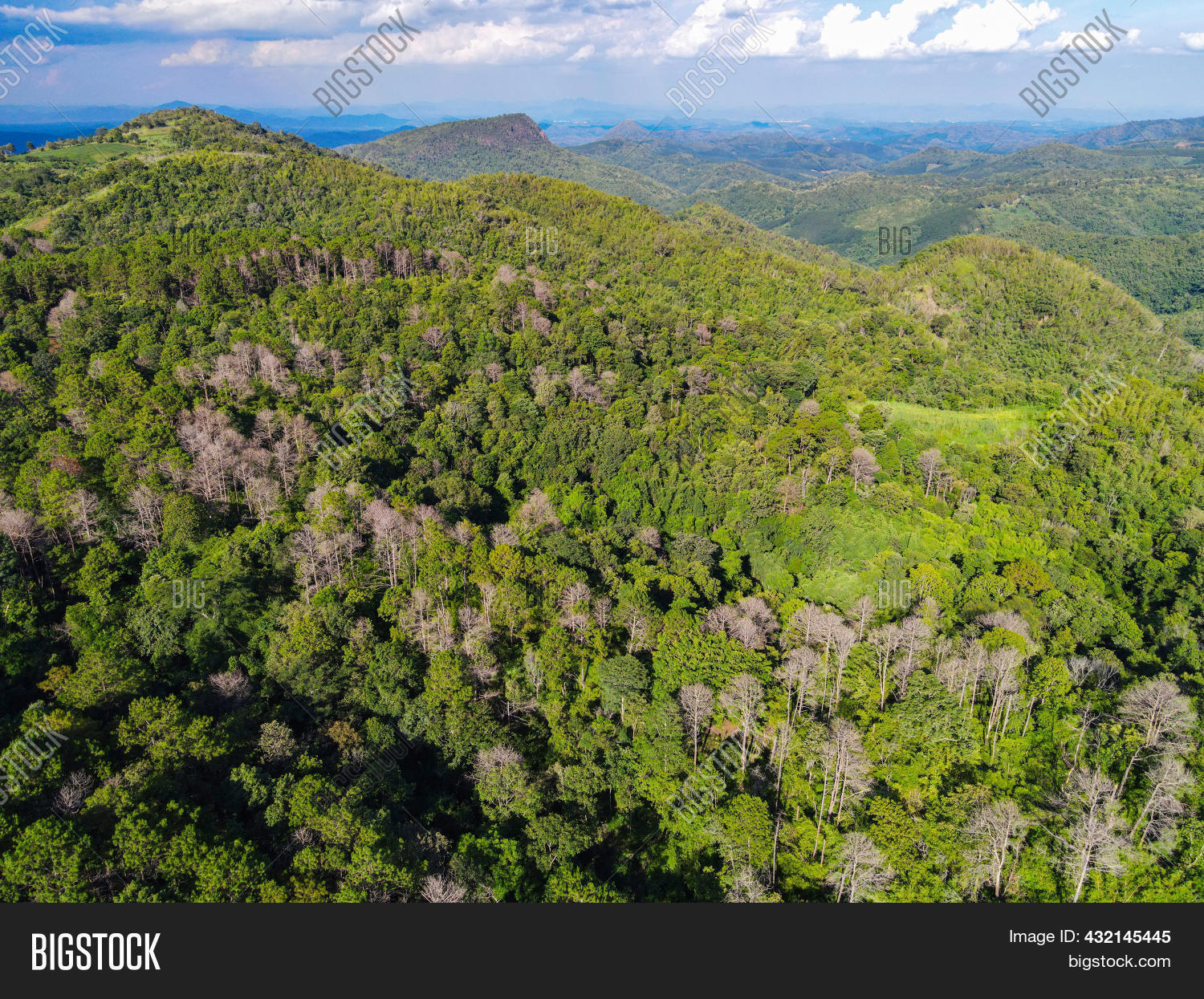 Aerial View Forest Image & Photo (Free Trial) | Bigstock