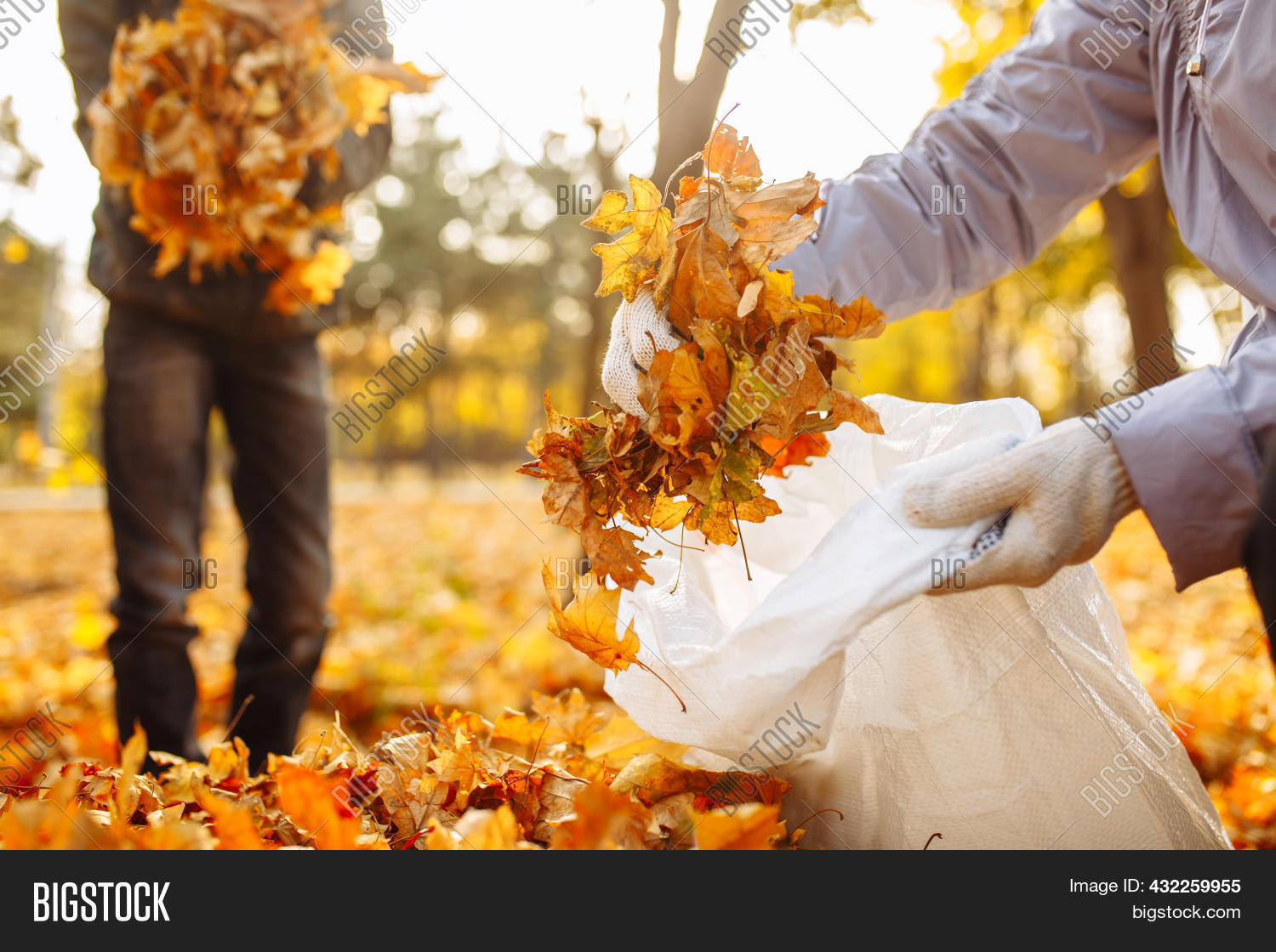 Hands Collect Put Image & Photo (Free Trial) | Bigstock