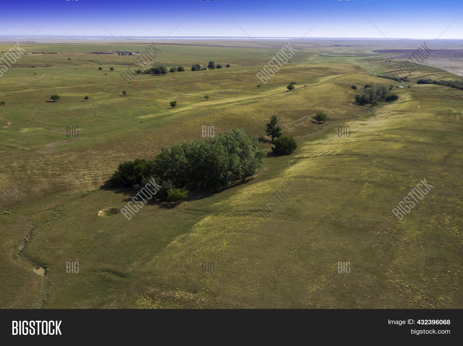 Steppe Landscape Trees Image & Photo (Free Trial) | Bigstock
