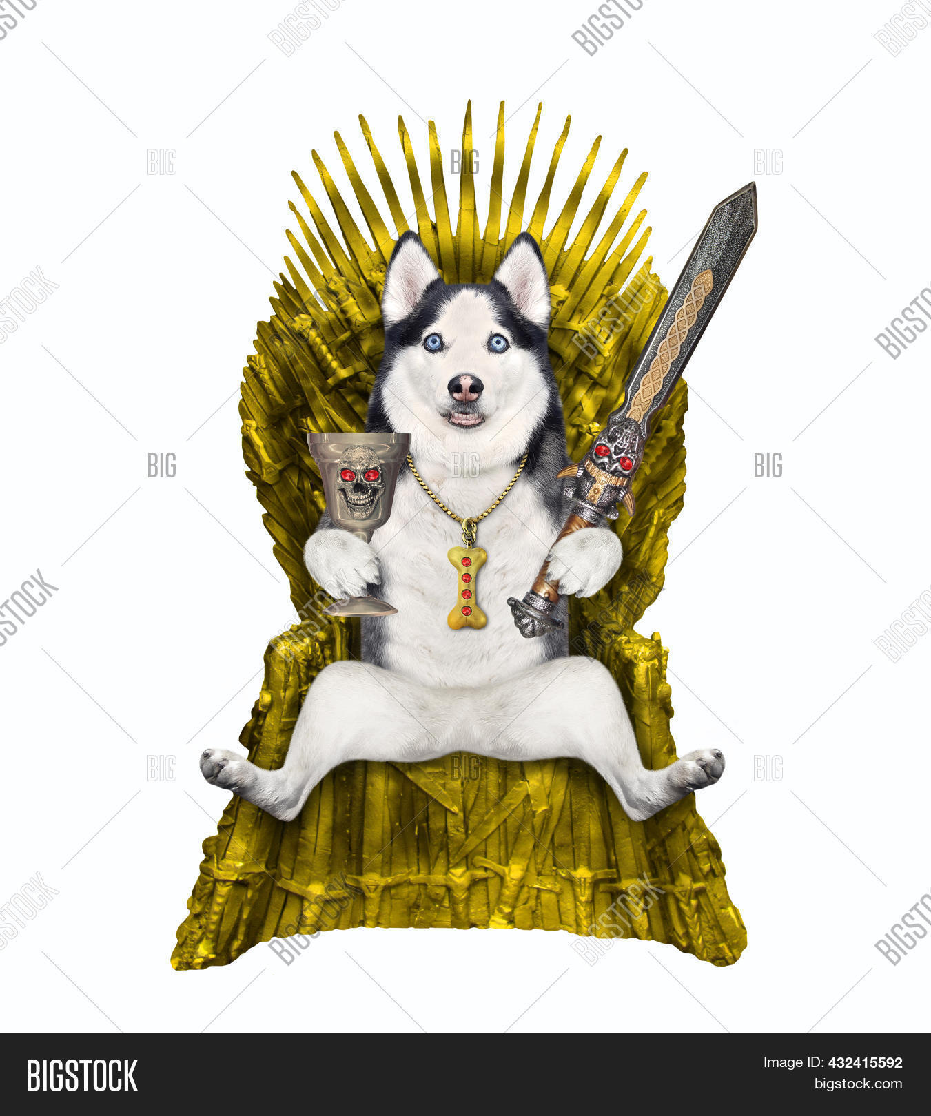 Dog Husky King Gold Image & Photo (Free Trial) | Bigstock