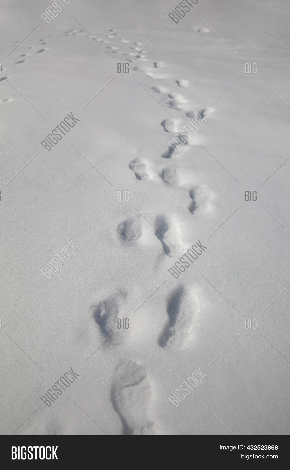 Footprints Snow. Human Image & Photo (Free Trial) | Bigstock