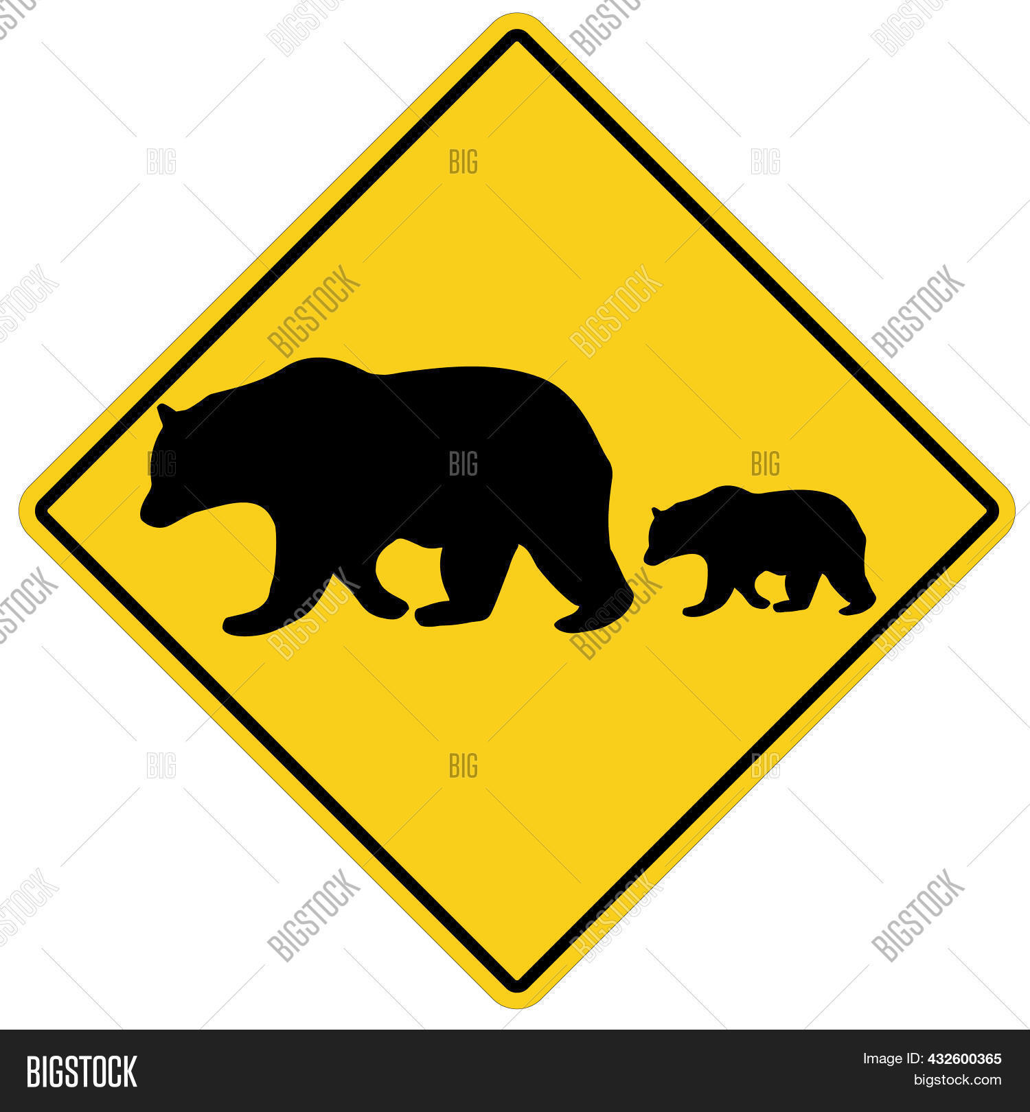 Bear Crossing On White Image & Photo (Free Trial) | Bigstock