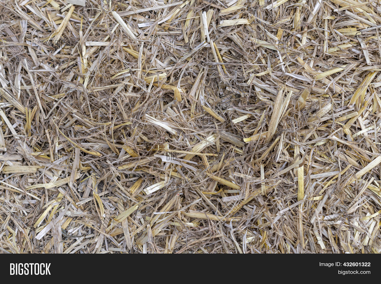 Detail Photo Straw Image & Photo (Free Trial) | Bigstock