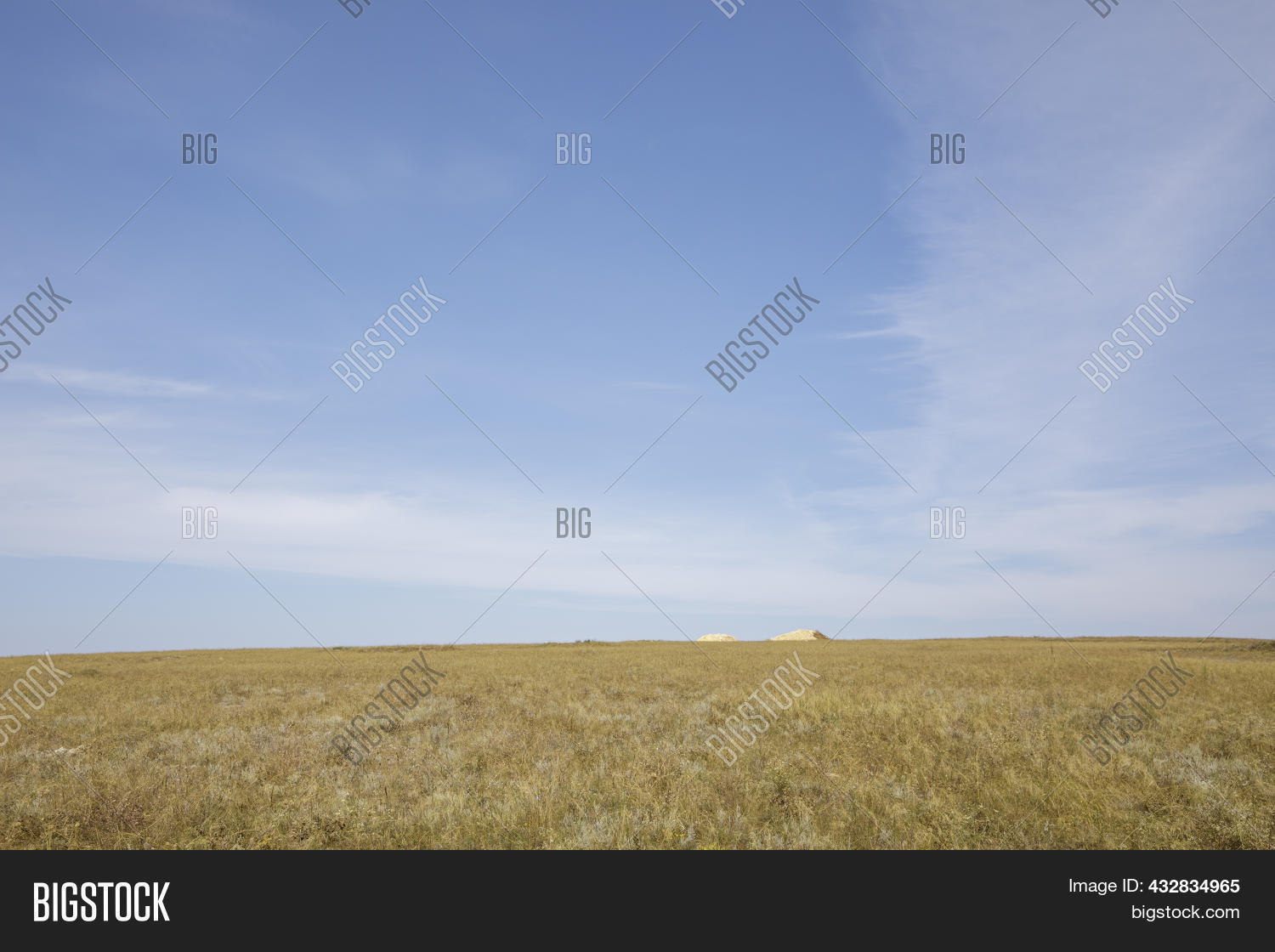 Field Yellow Grass Image & Photo (Free Trial) | Bigstock
