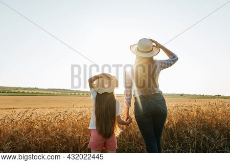 Wheat, Sunset, Family Images, Illustrations & Vectors (Free) - Bigstock