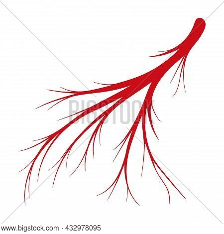 Vein Human Vector Vector & Photo (Free Trial) | Bigstock
