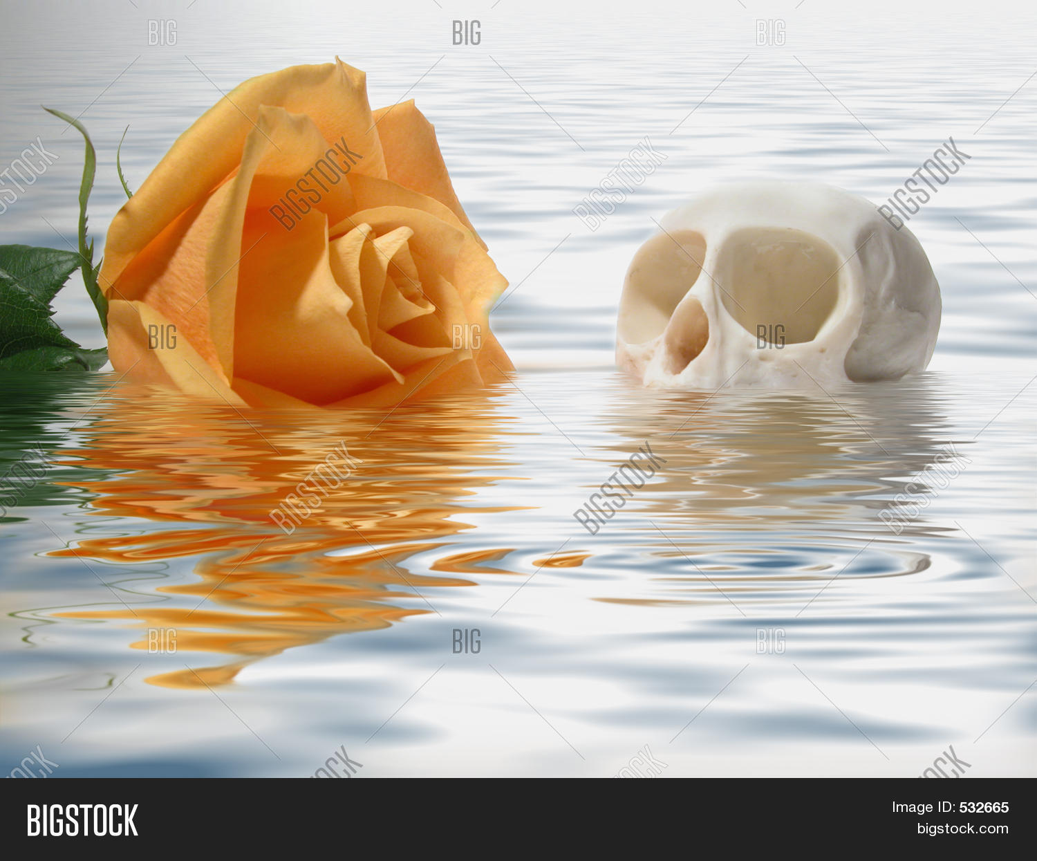 Life Death Situation Image & Photo (Free Trial) | Bigstock