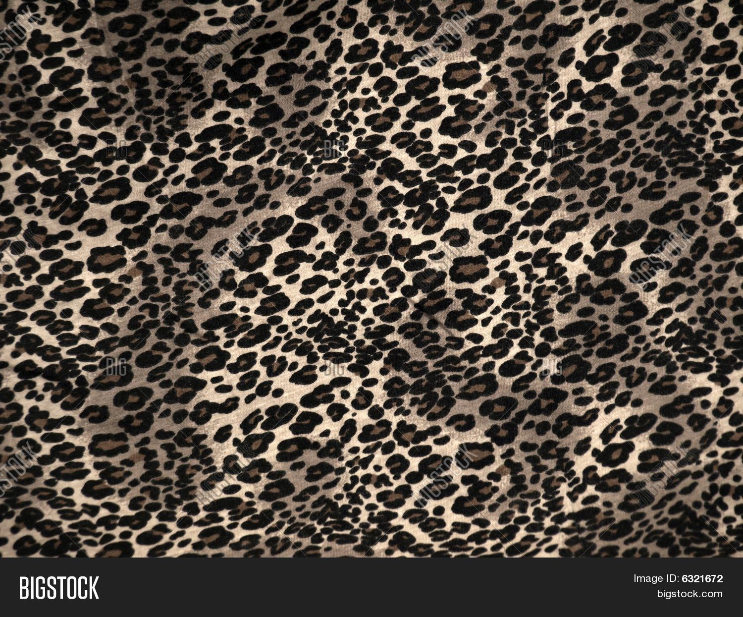 Leopard Print Image & Photo (Free Trial) | Bigstock