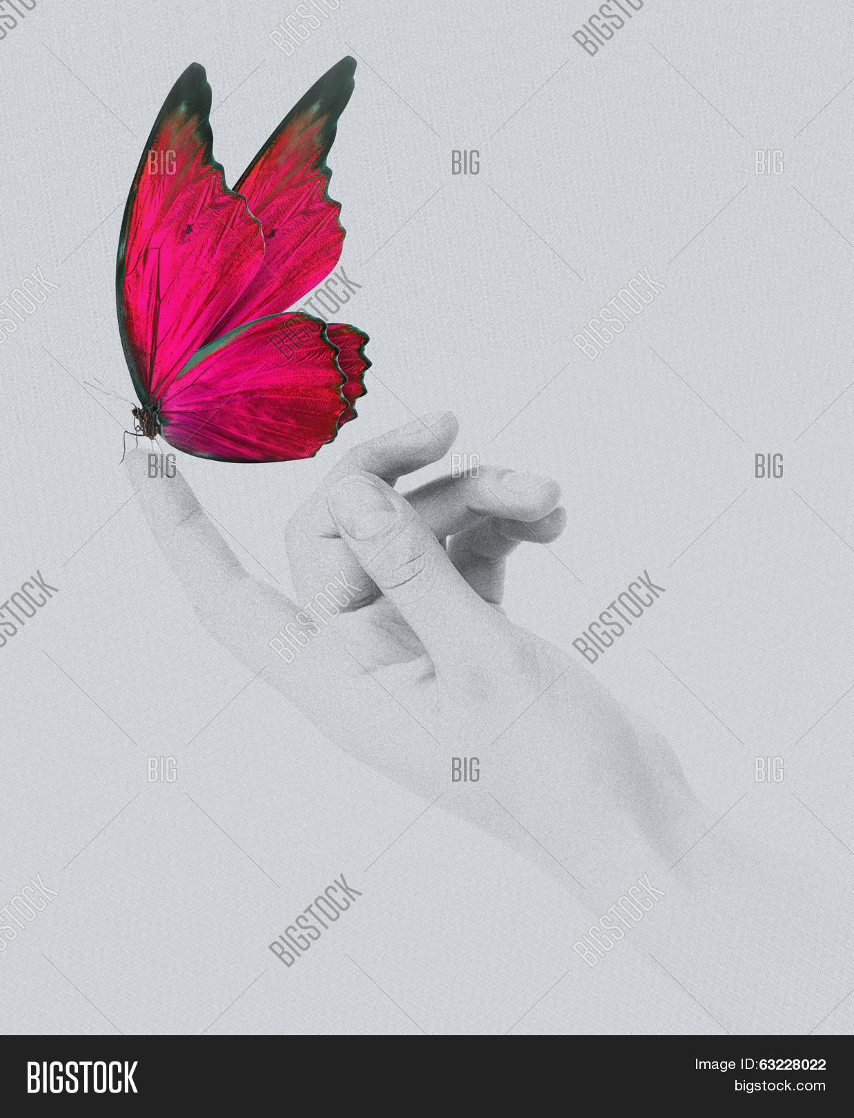 Butterfly On Woman's Image & Photo (Free Trial) | Bigstock