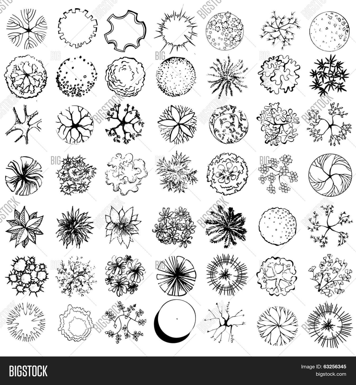 Set Treetop Symbols, Vector & Photo (Free Trial) | Bigstock
