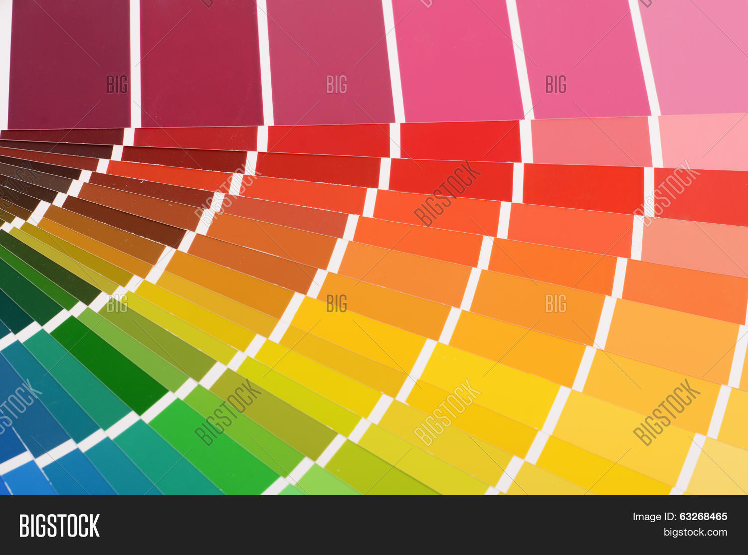 Color Palette Image & Photo (Free Trial) | Bigstock
