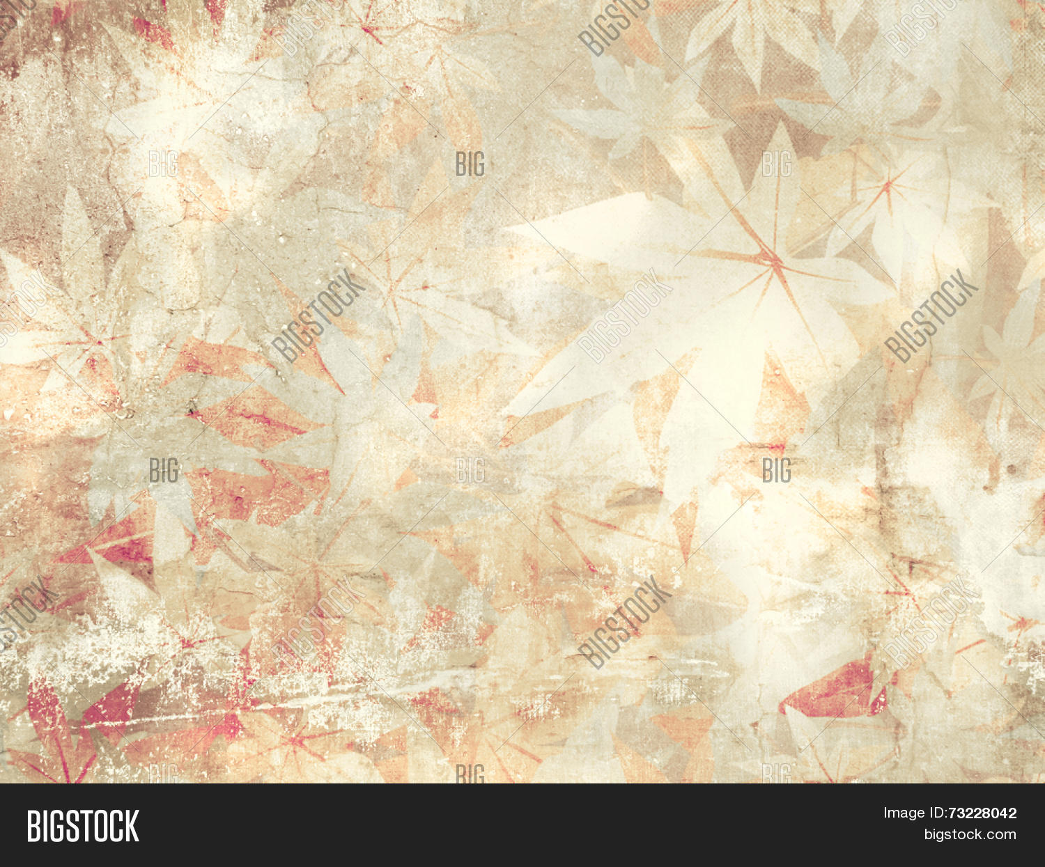 Soft Floral Pattern - Image & Photo (Free Trial) | Bigstock