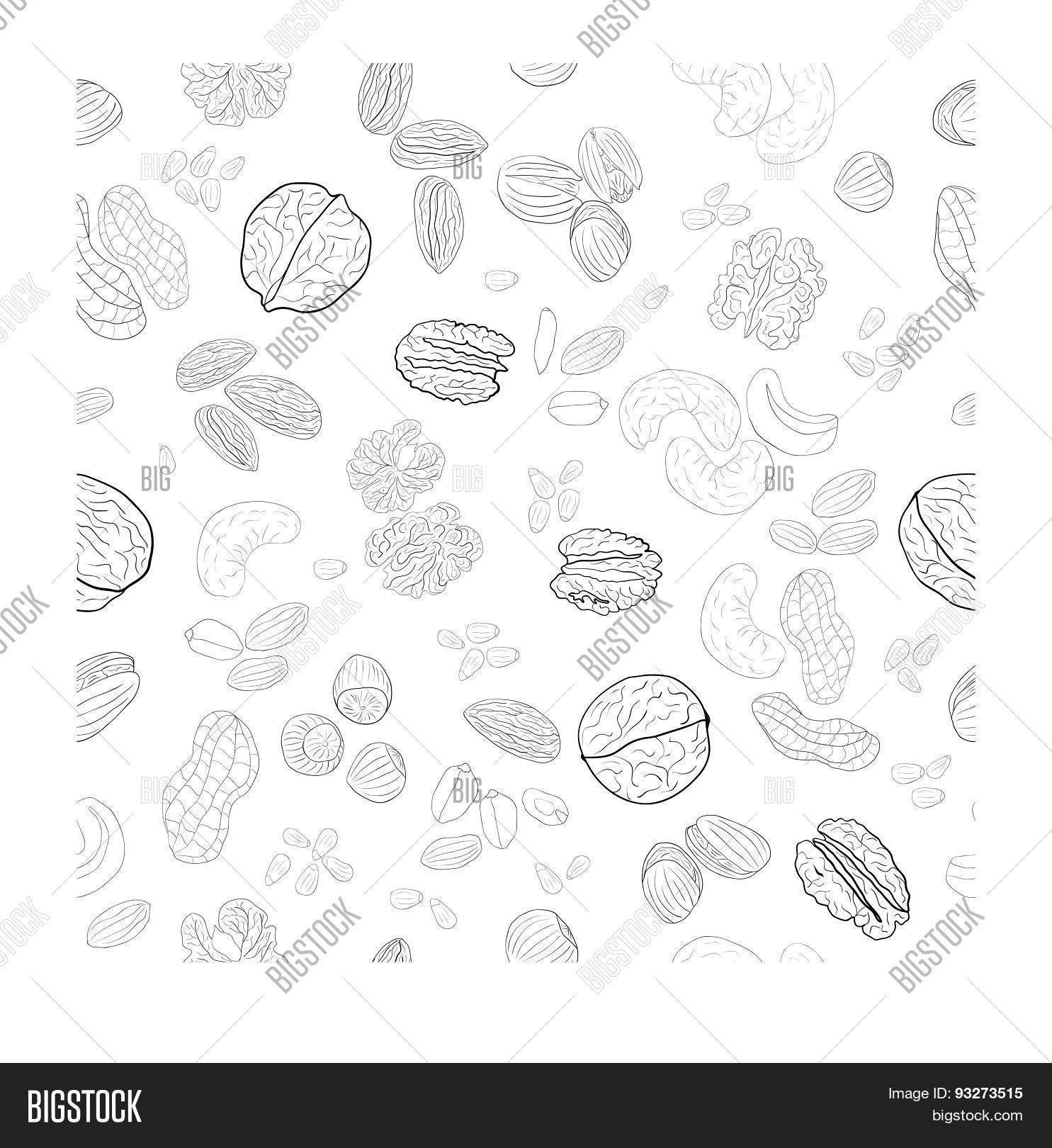 Nuts Pattern Vector & Photo (Free Trial) | Bigstock