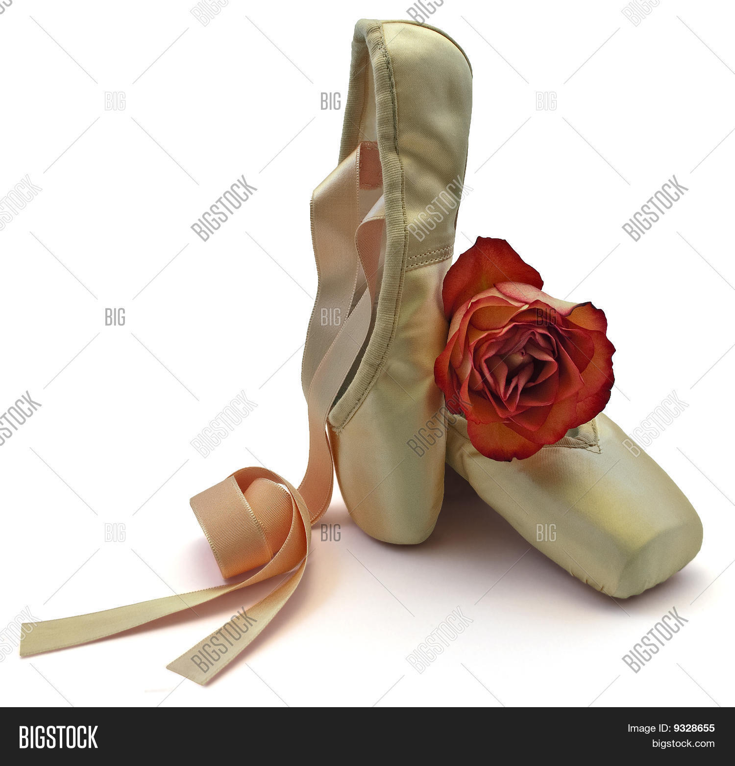 Ballet Shoes Red Rose Image & Photo (Free Trial) | Bigstock