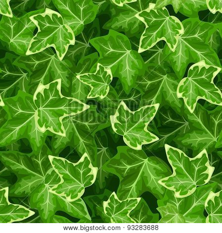 Seamless Pattern Ivy Vector & Photo (Free Trial) | Bigstock