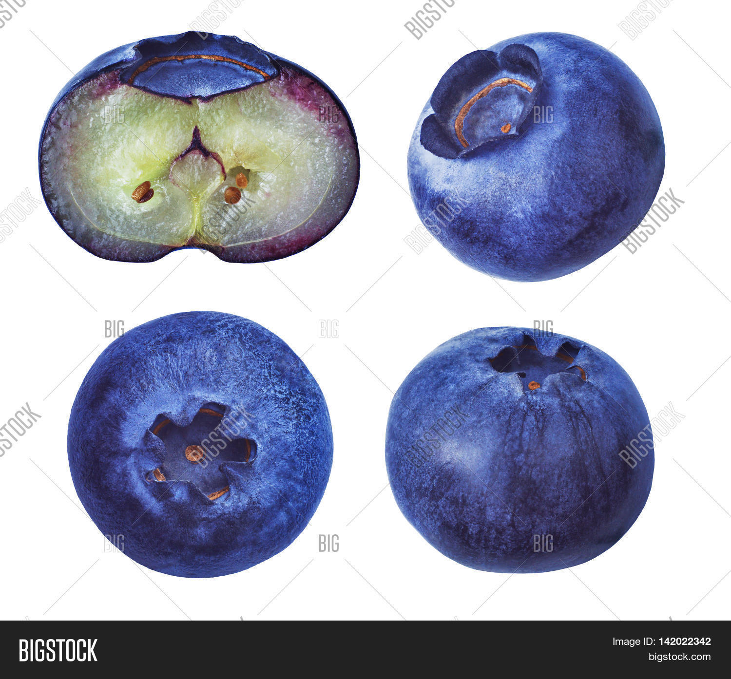 Blueberry Isolated On Image & Photo (Free Trial) | Bigstock