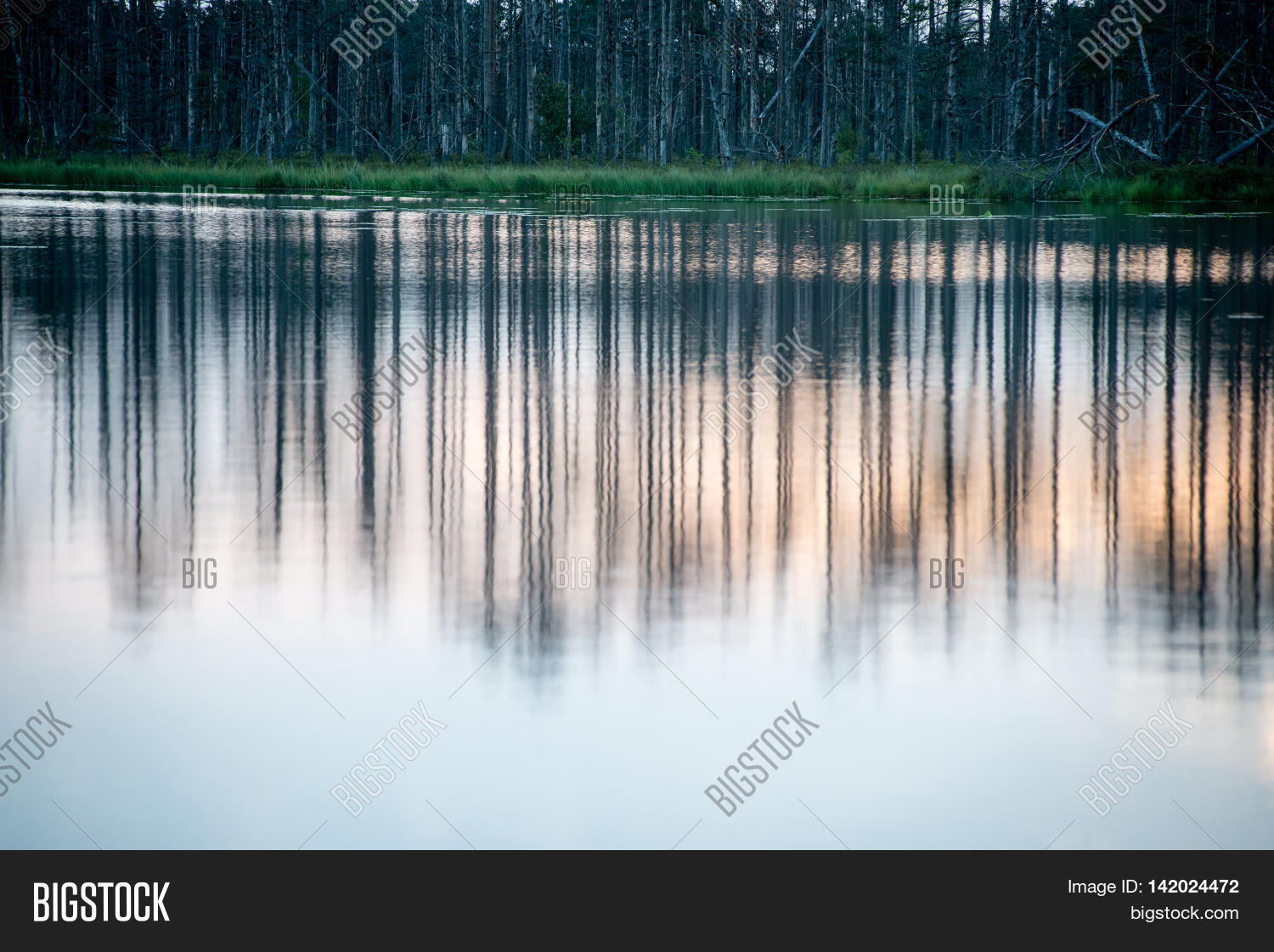 Abstract Reflections Image & Photo (Free Trial) | Bigstock