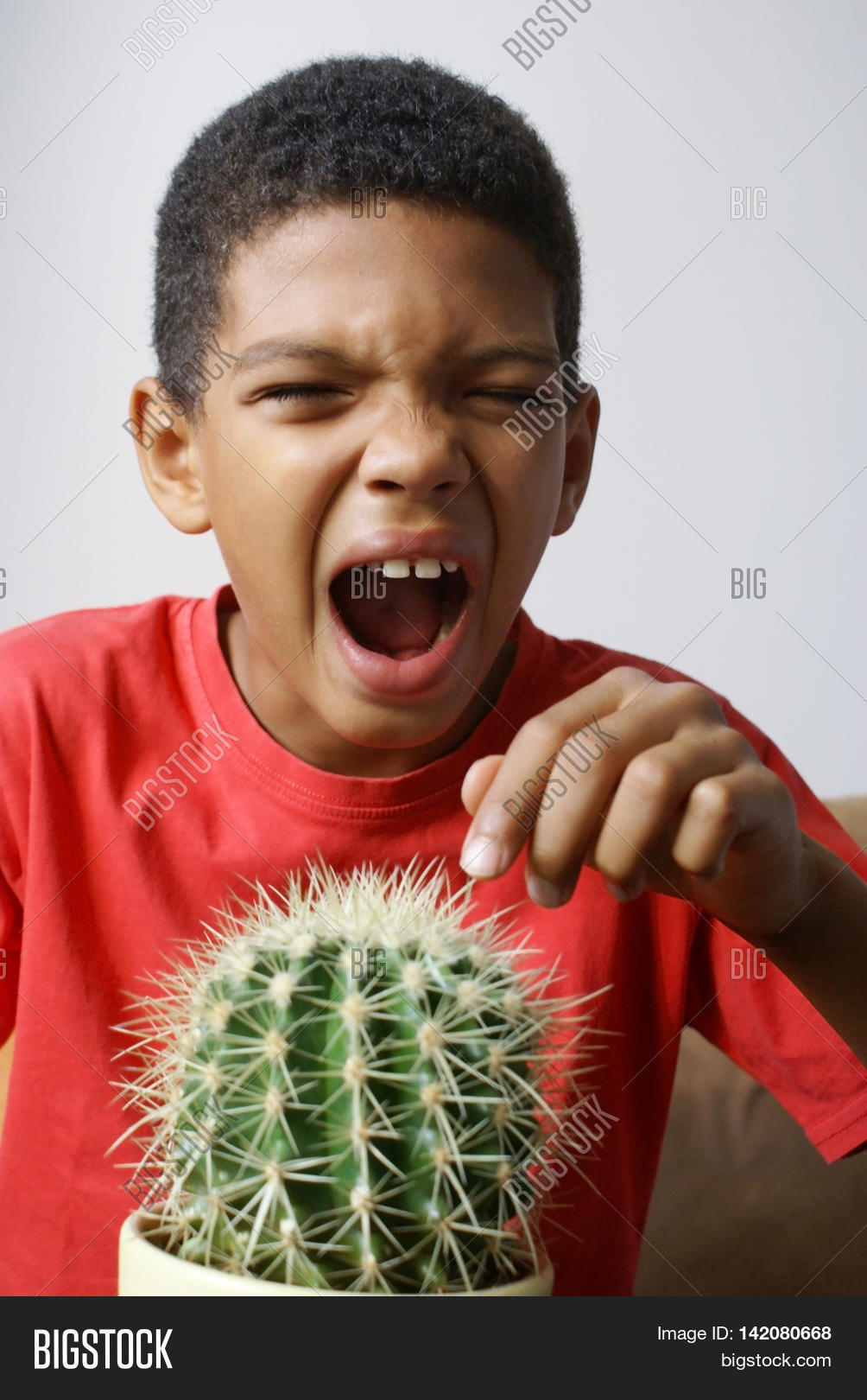 Boy Touching Cactus Image & Photo (Free Trial) | Bigstock