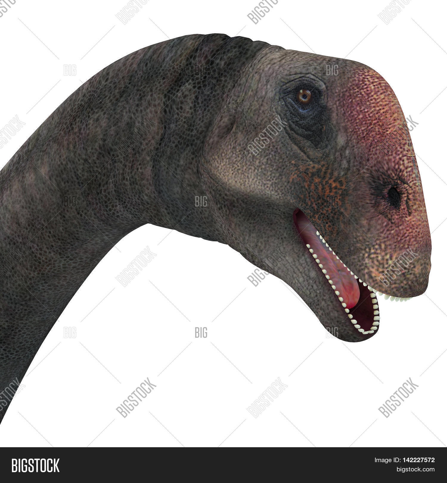 Brontomerus Dinosaur Image & Photo (Free Trial) | Bigstock
