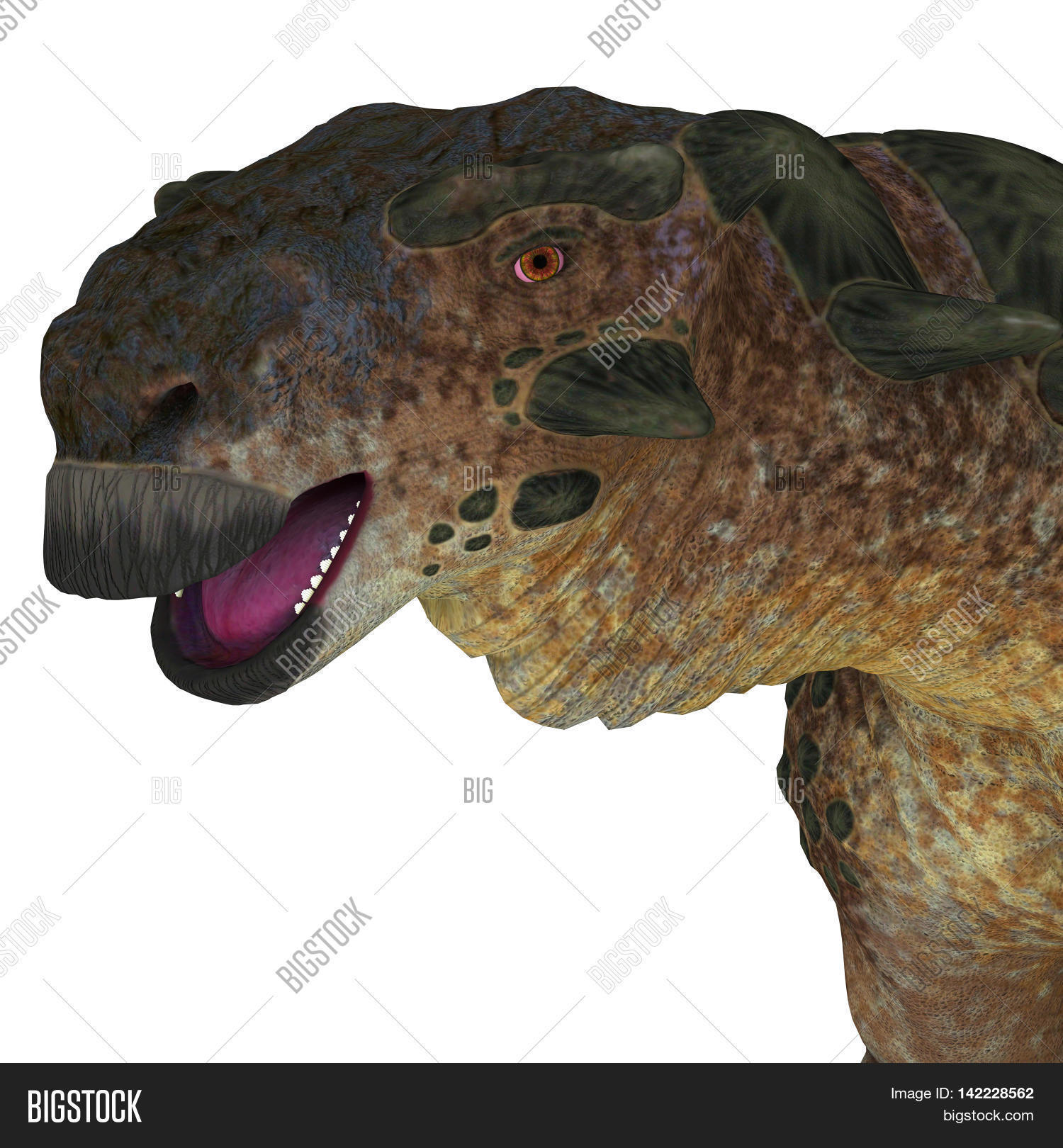 Pinacosaurus Dinosaur Image & Photo (Free Trial) | Bigstock