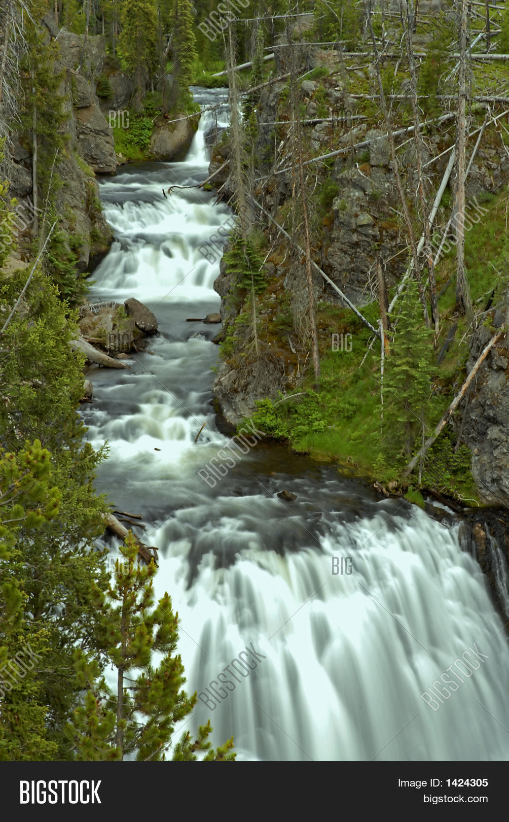 Yellowstone Cascade Image & Photo (Free Trial) | Bigstock