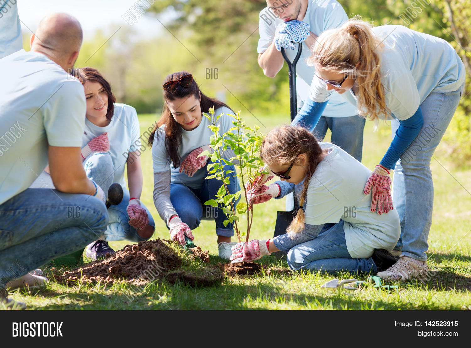 Volunteering, Charity Image & Photo (Free Trial) | Bigstock
