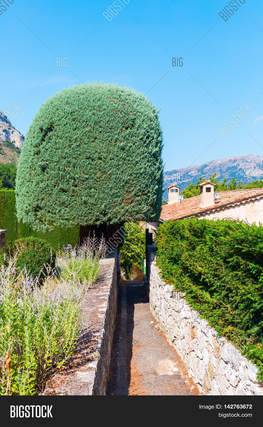 Topiary Tree Mountain Image & Photo (Free Trial) | Bigstock