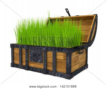 Old Chest Filled Green Image & Photo (Free Trial) | Bigstock