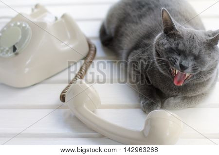 Rotary Phone Images, Illustrations, Vectors - Rotary Phone Stock Photos ...