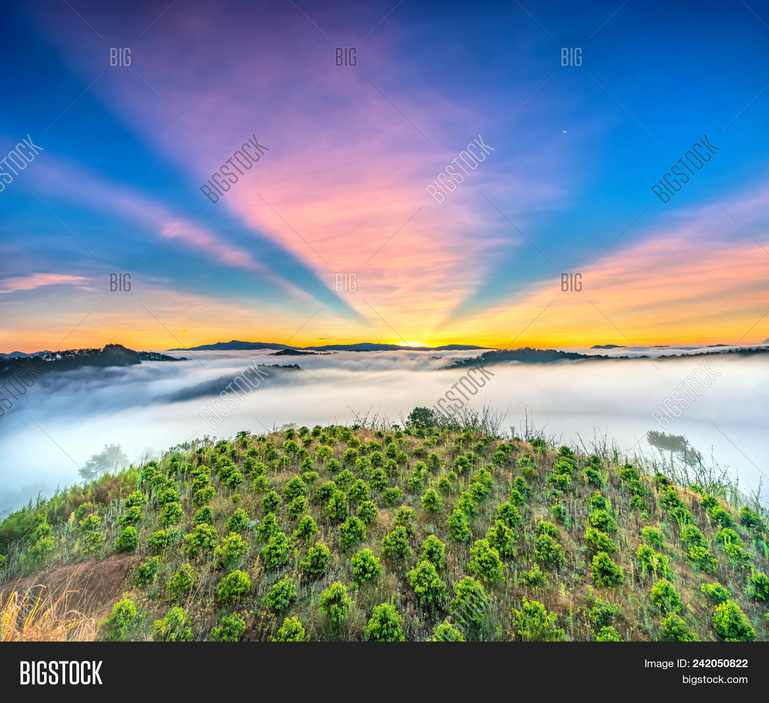 Sunrise On Plateau Image & Photo (Free Trial) | Bigstock
