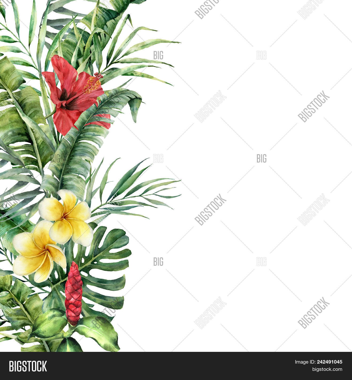 Watercolor Tropical Image & Photo (Free Trial) | Bigstock