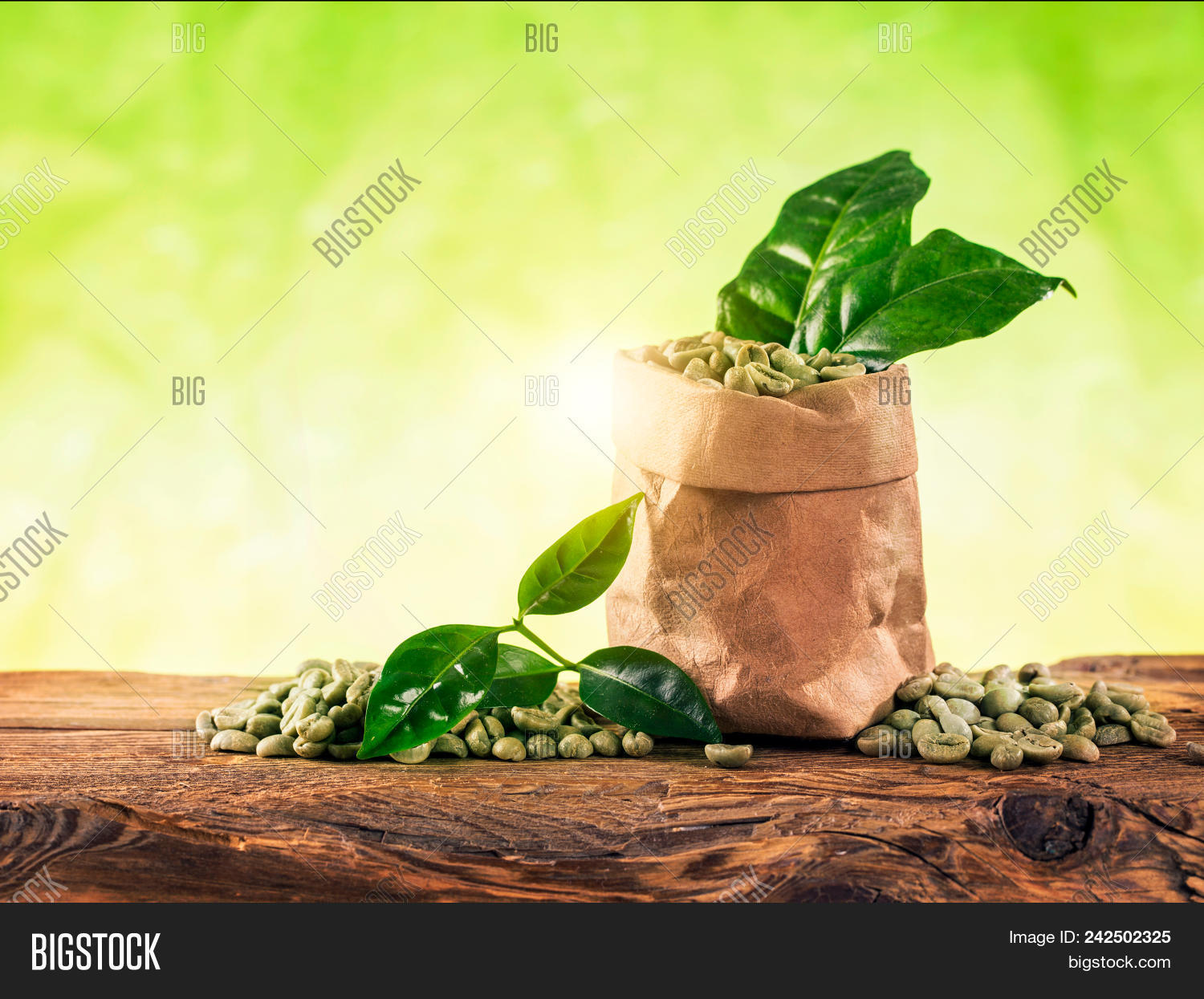 Green Coffee Beans On Image & Photo (Free Trial) | Bigstock