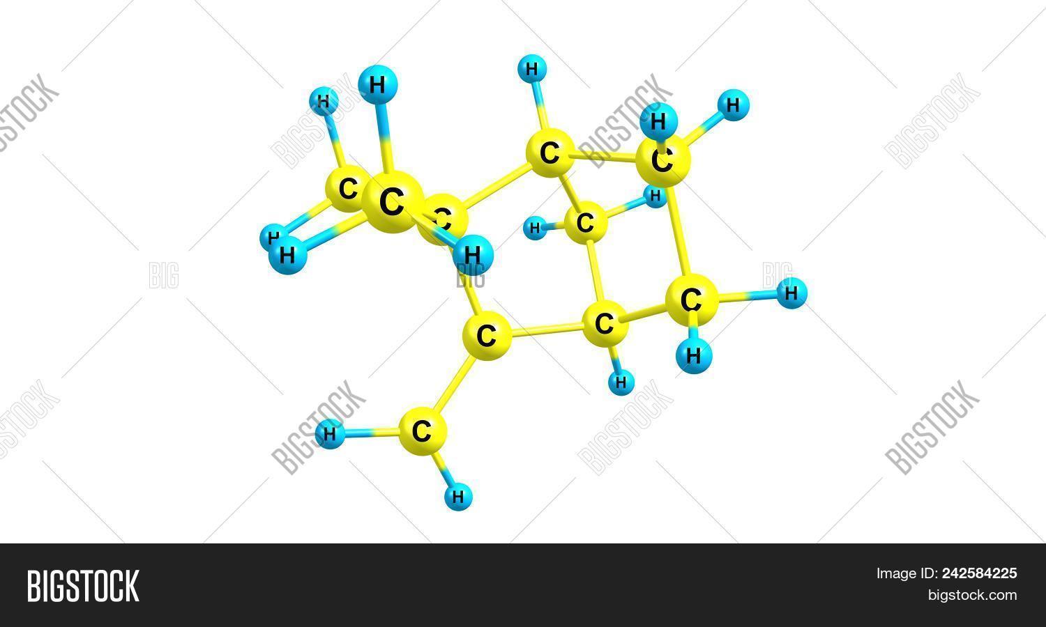 Camphene Molecular Image & Photo (Free Trial) | Bigstock