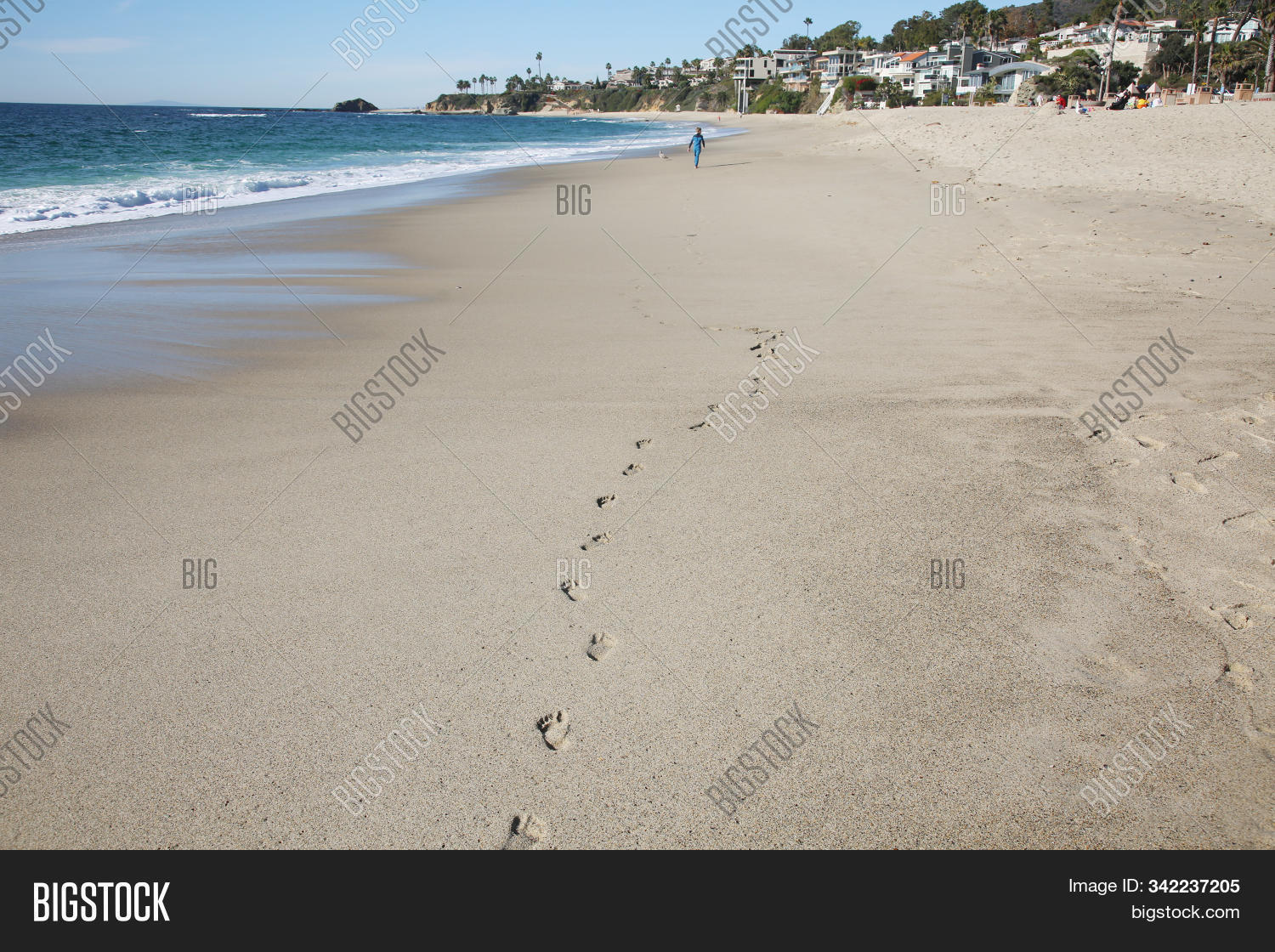 Footsteps On Beach. Image & Photo (Free Trial) | Bigstock