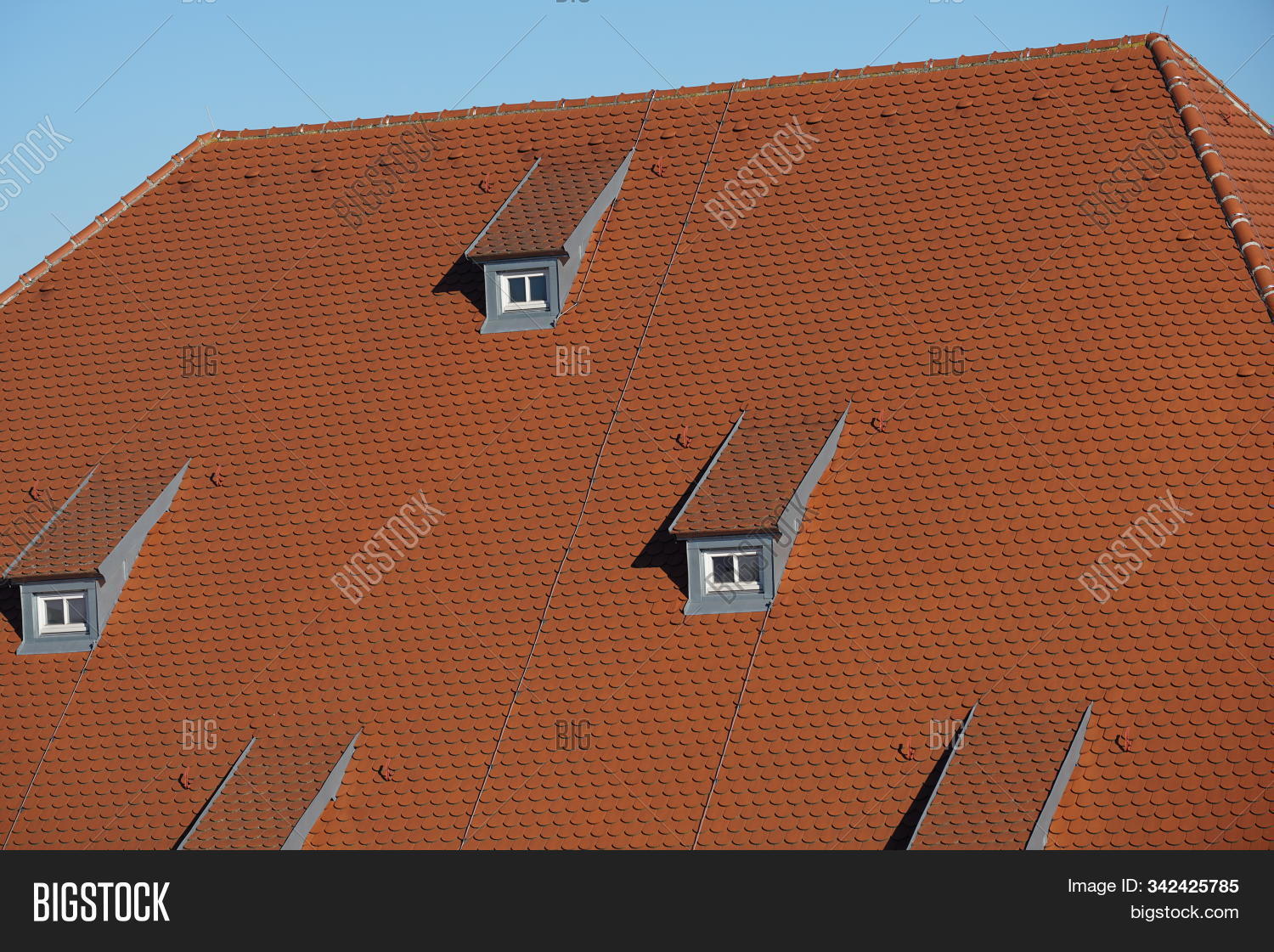 Beaver Tails Roofing Image & Photo (Free Trial) | Bigstock