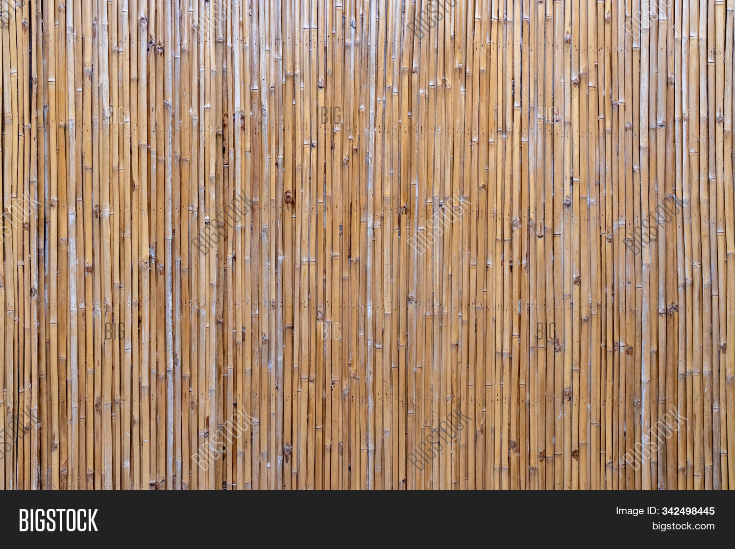 Bamboo Stick Image & Photo (Free Trial) | Bigstock