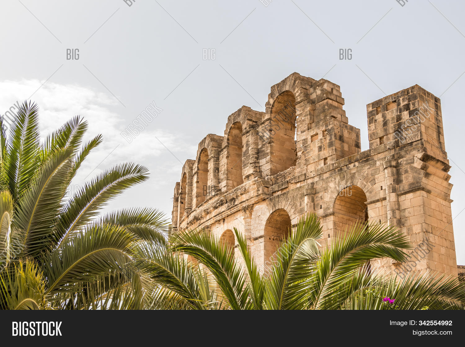 Palm Trees Roman Image & Photo (Free Trial) | Bigstock
