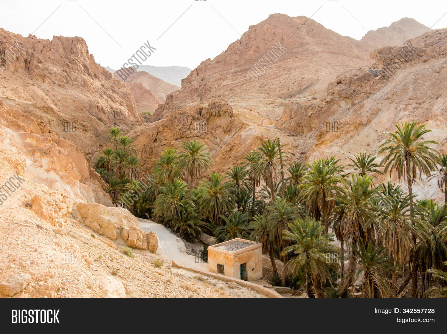 Mountain Oasis Chebika Image & Photo (Free Trial) | Bigstock