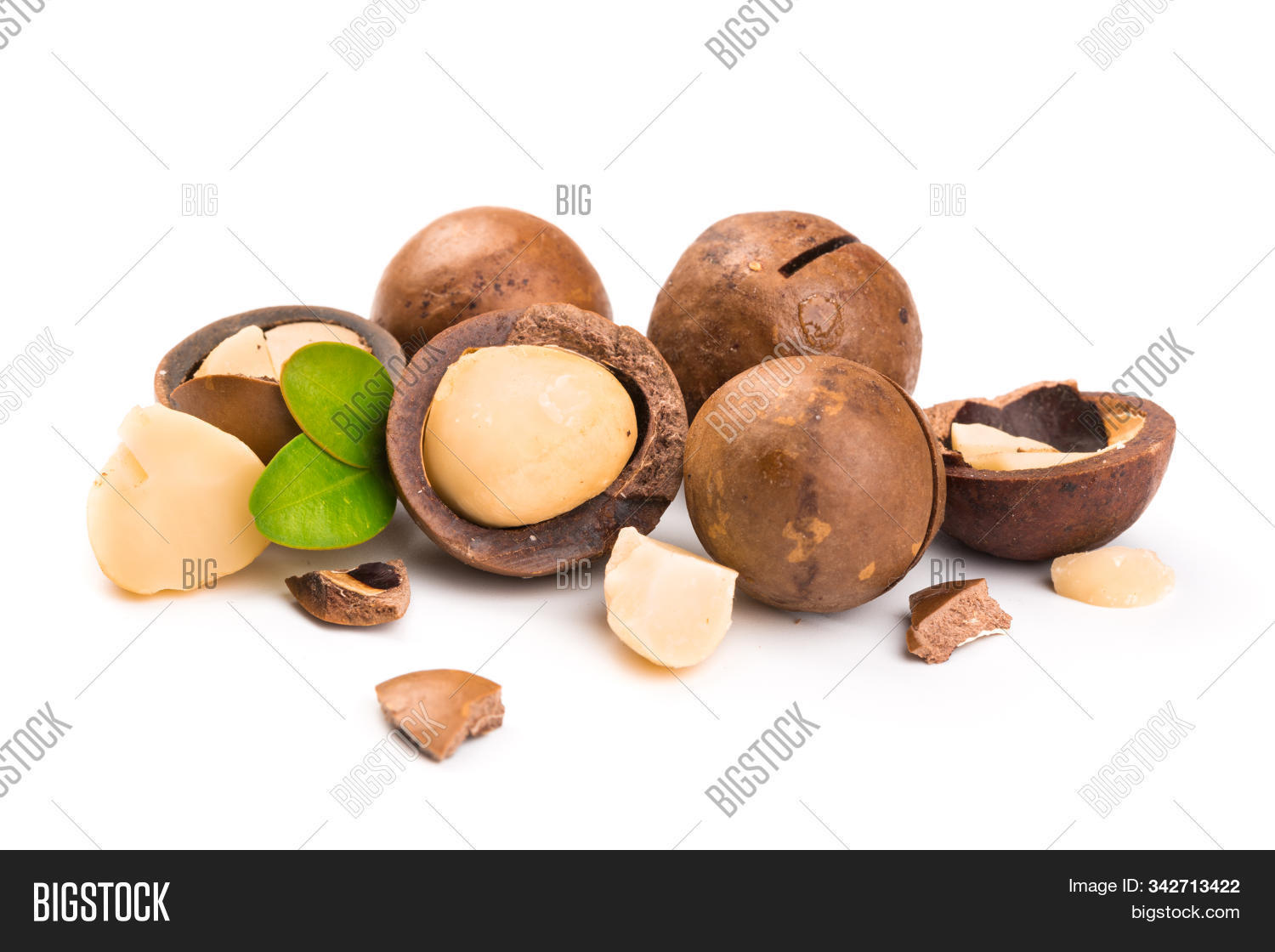 Inshell Macadamia Nuts Image & Photo (Free Trial) | Bigstock