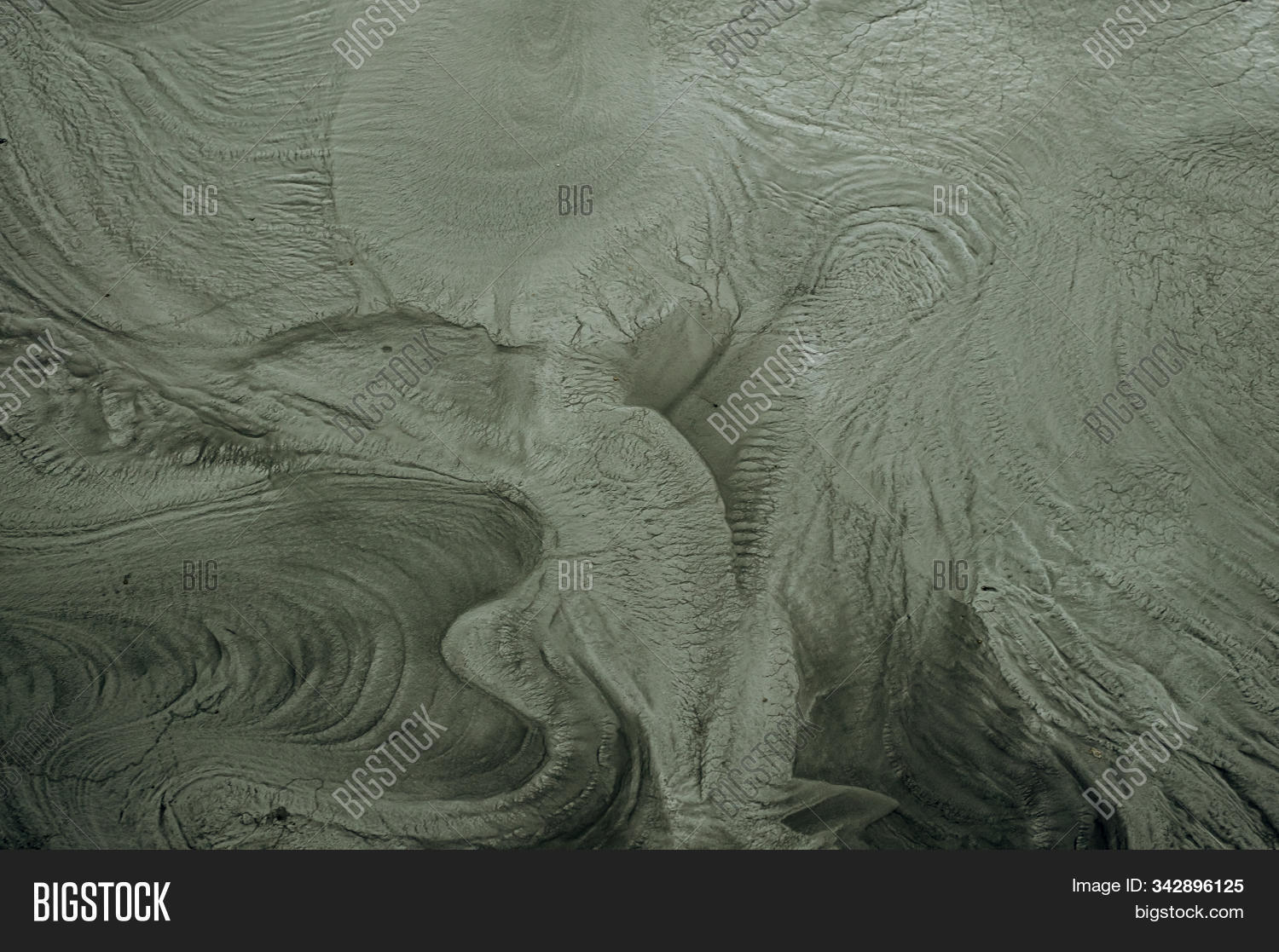 Lizard Fossil Mud Image & Photo (Free Trial) | Bigstock